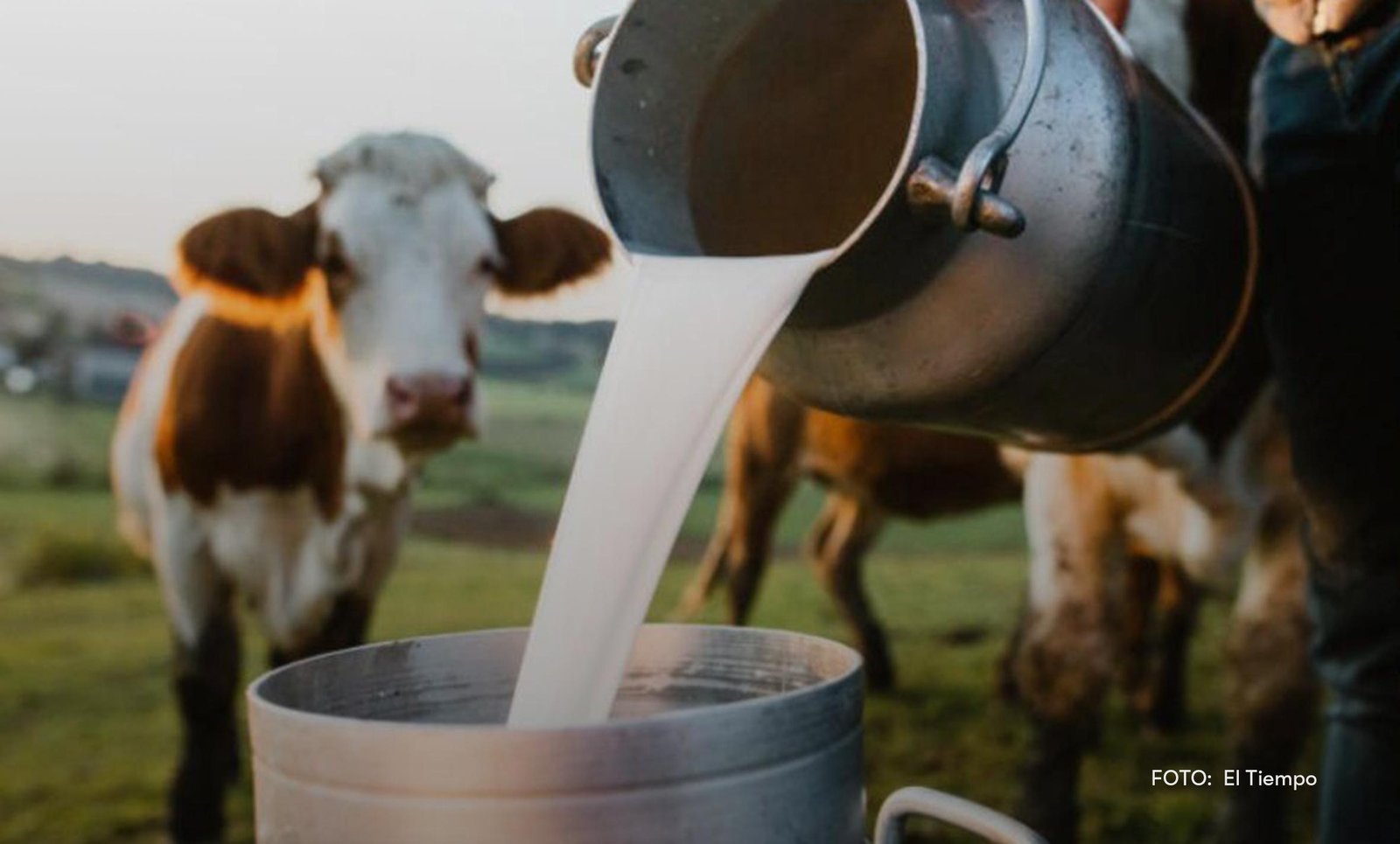 LA LECHE… CRISIS DE AHORA Y SIEMPRE - Ojo Pelao´ Magazine